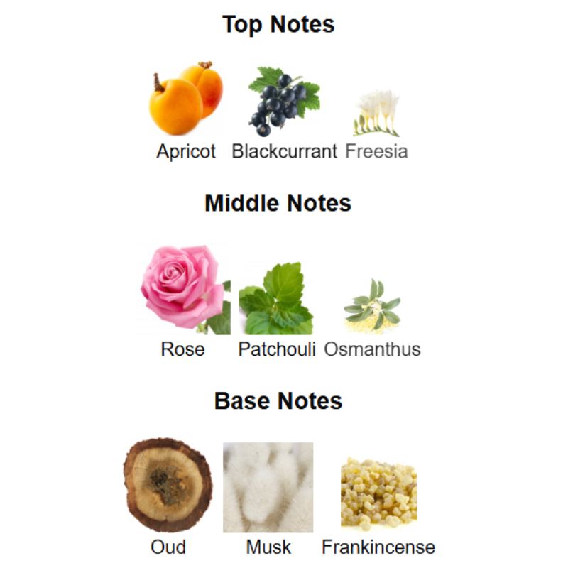 Ajmal WISAL LAYL – WHIFF CULTURE